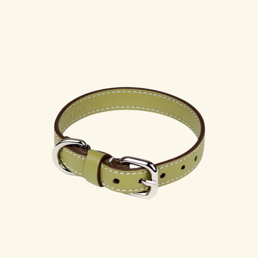 Carlotta Palermo - Leather Collar – Love My Human