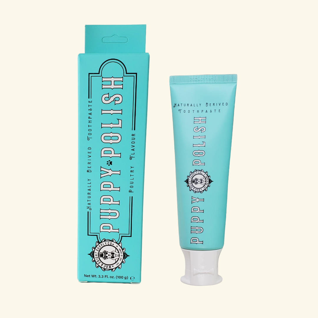 Polish Toothpaste – Love My Human